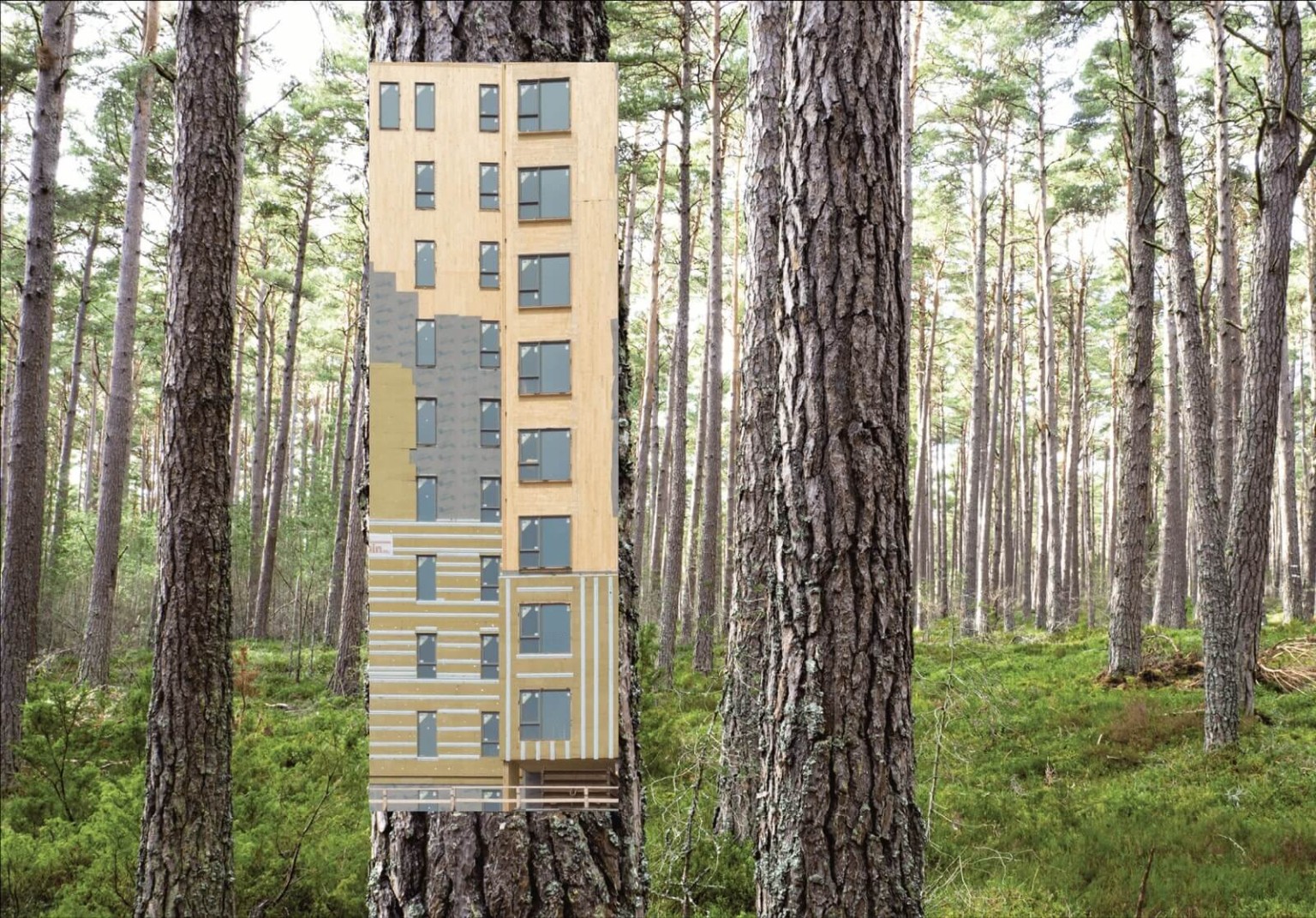 Mass Timber - American Wood Council